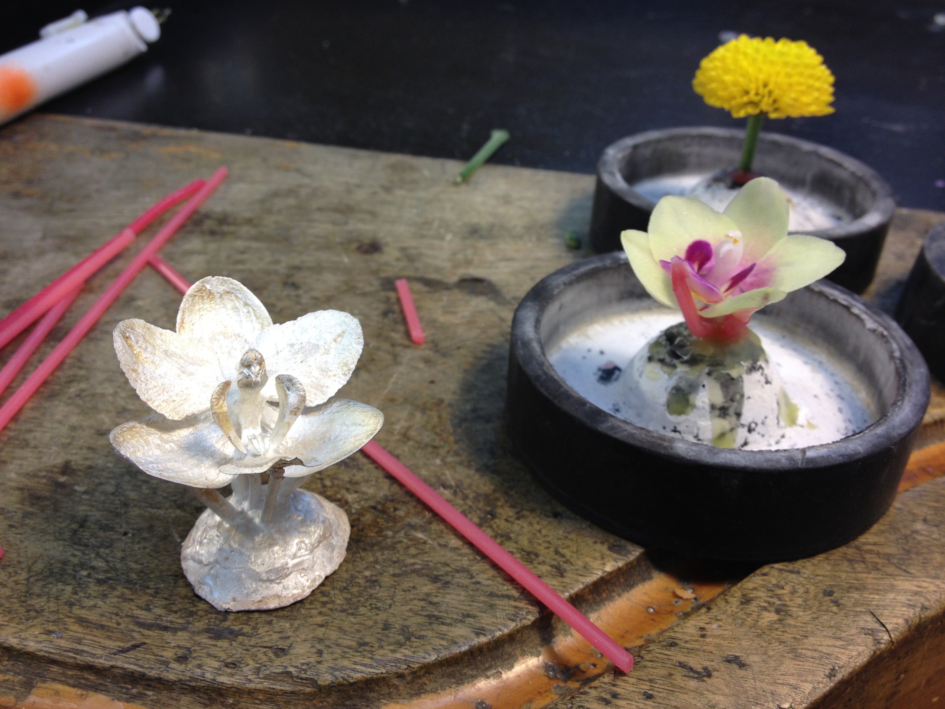 Casting Organics – Jennifer Mineer